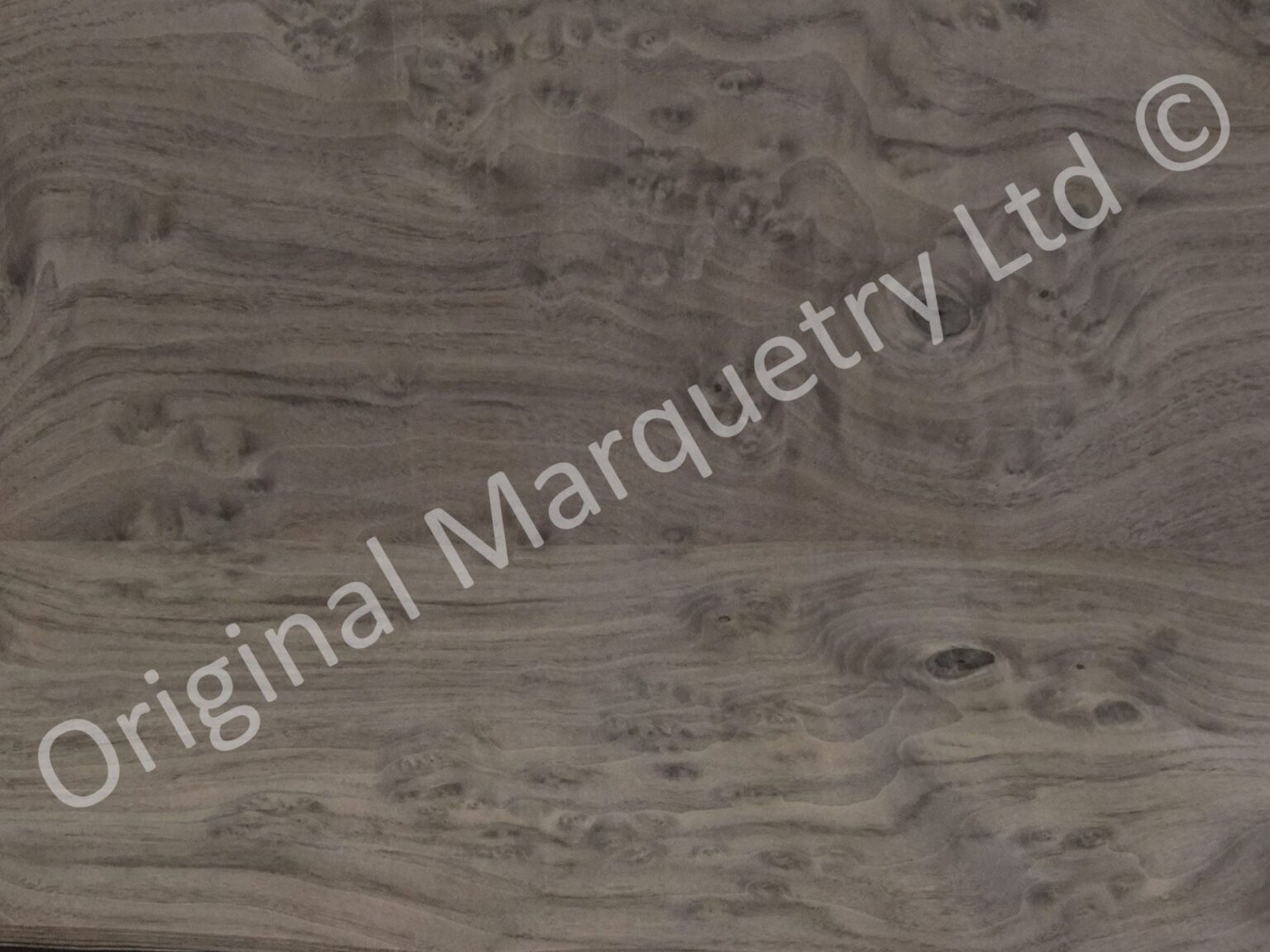 Burr Walnut Cluster - Cluster Burr Walnut Veneer - Veneers Burl ...