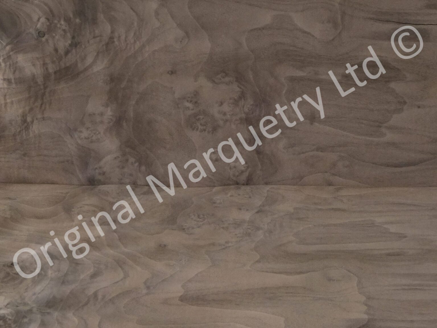 Burr Walnut Cluster - Cluster Burr Walnut Veneer - Veneers Burl ...