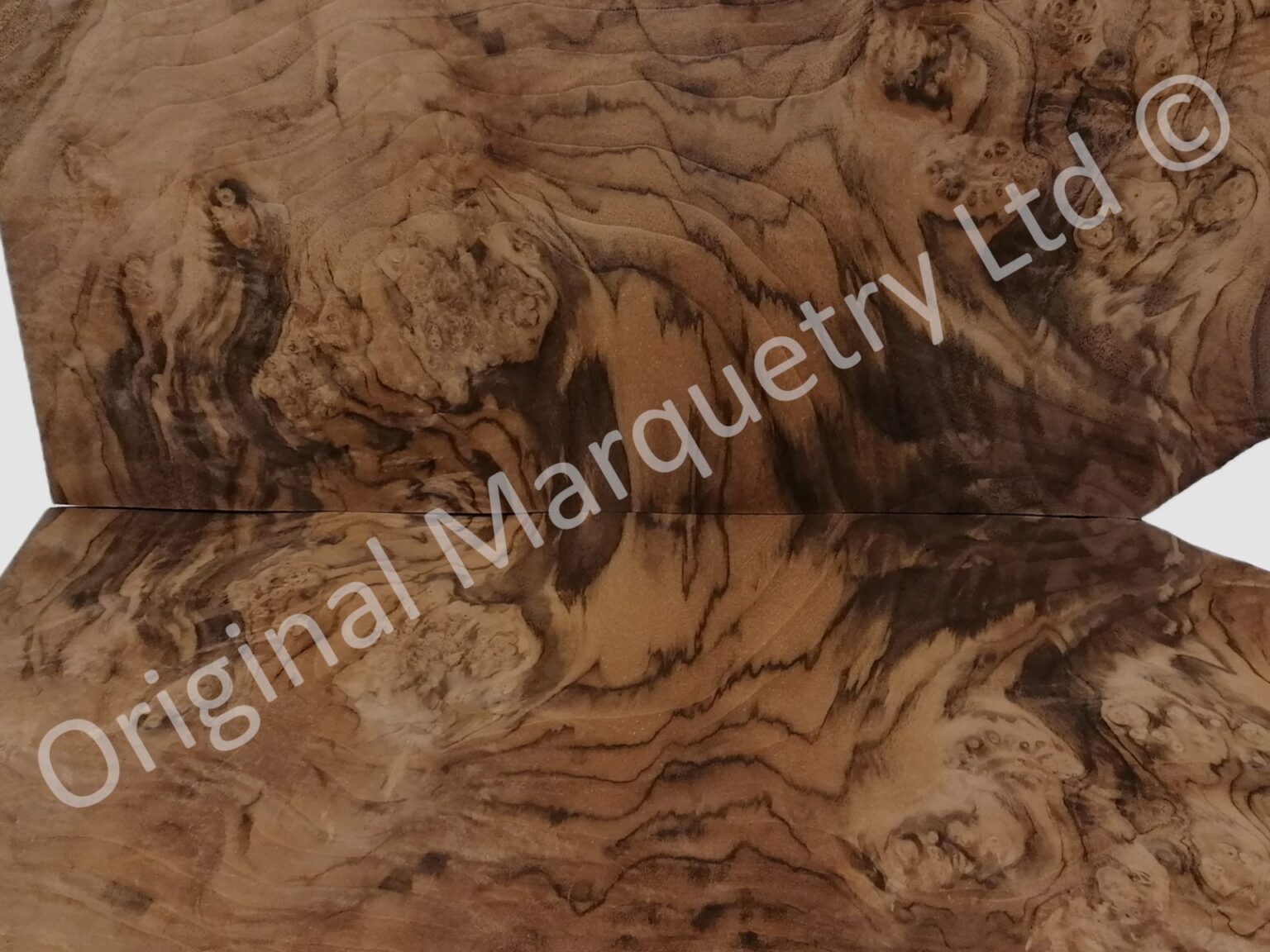 American Burr Walnut - Walnut Burrs - Walnut Burls - Walnut Burl Veneer ...