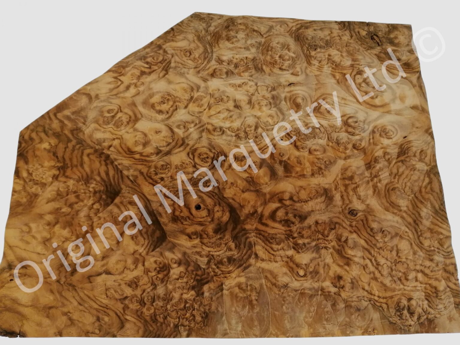 English Burr Walnut Wood Veneer - European Burr Walnut Wood Veneer