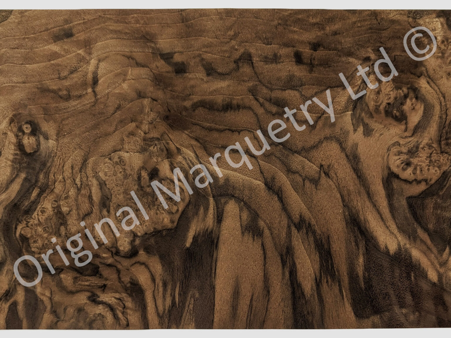 American Cluster Burr Walnut Wood Veneer - Original Marquetry Ltd