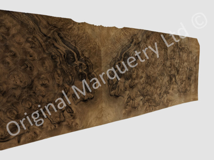 Burr Walnut Dashboard - American Burr Walnut Wood Veneer