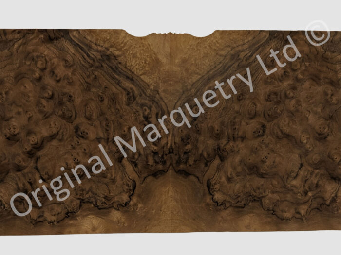 Burr Walnut Dashboard - American Burr Walnut Wood Veneer