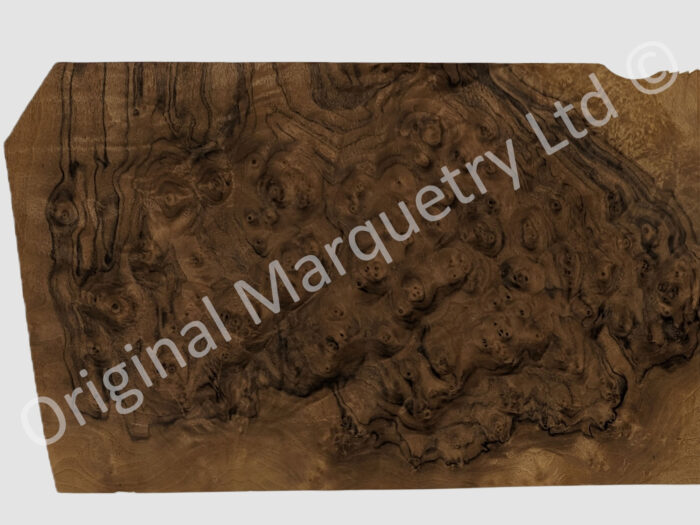 Burr Walnut Dashboard - American Burr Walnut Wood Veneer