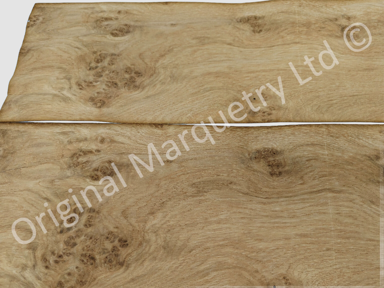 Pippy Oak Wood Veneer - Original Marquetry Ltd